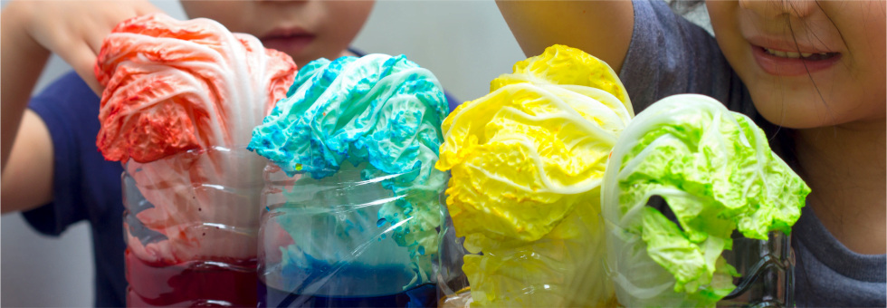 WORKSHOP PROGRAMS | SCIENCE WORKSHOP